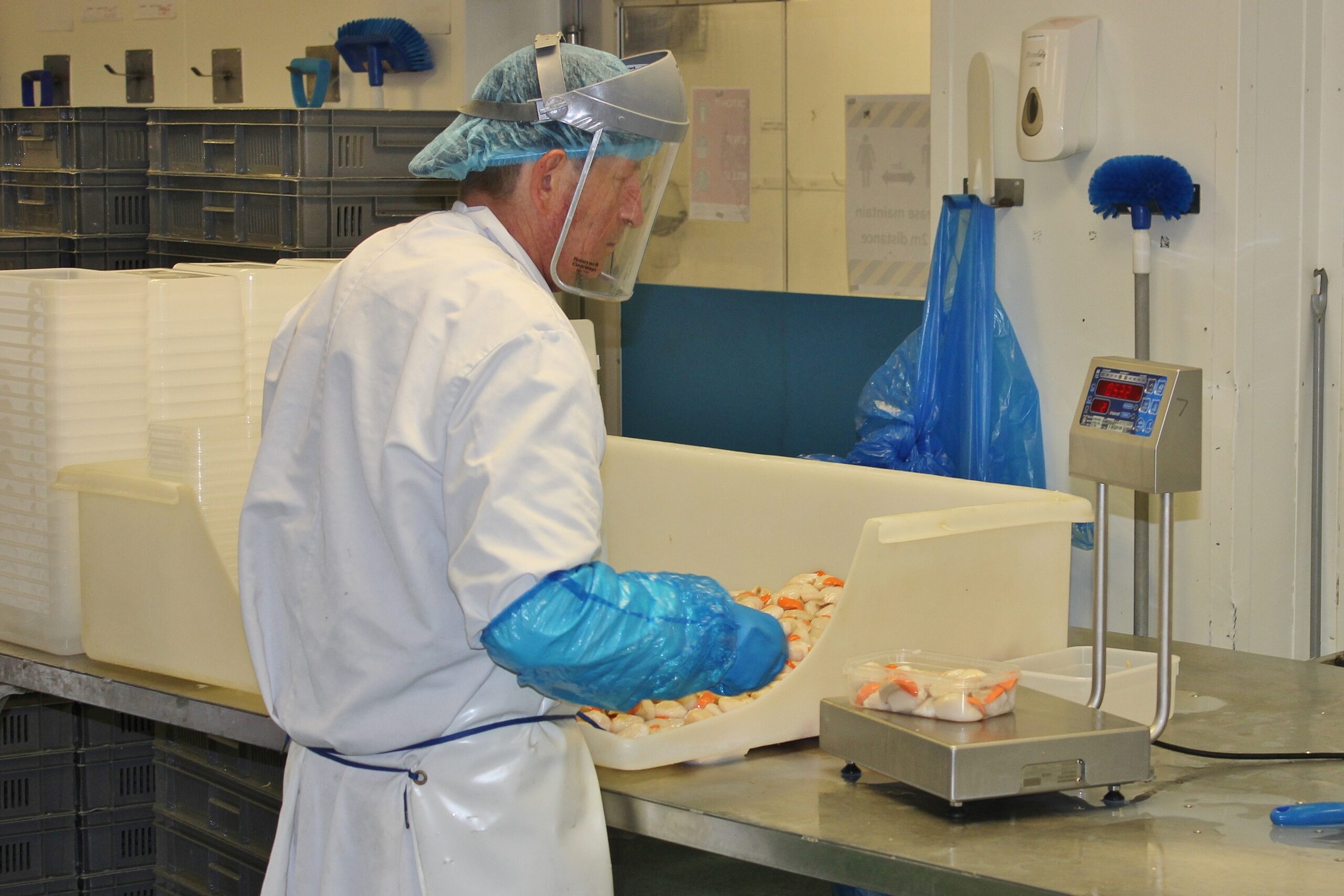 Gallery - West Coast Sea Products Ltd - Wholesale Shellfish Suppliers