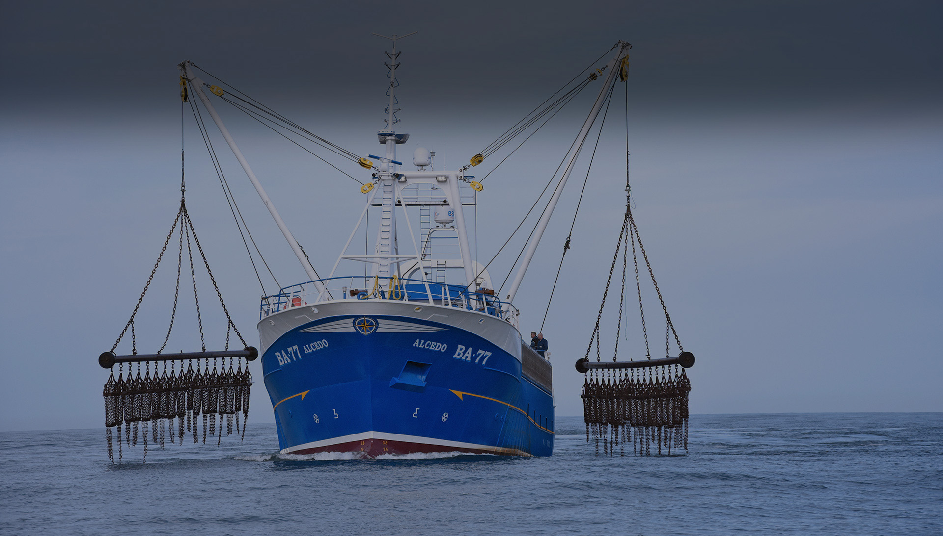 Shellfish & Scallops From Scotland | West Coast Sea Products