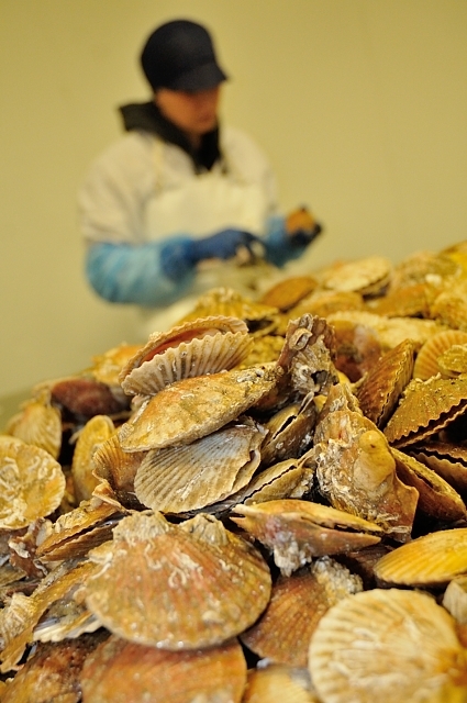 Gallery - West Coast Sea Products Ltd - Wholesale Shellfish Suppliers
