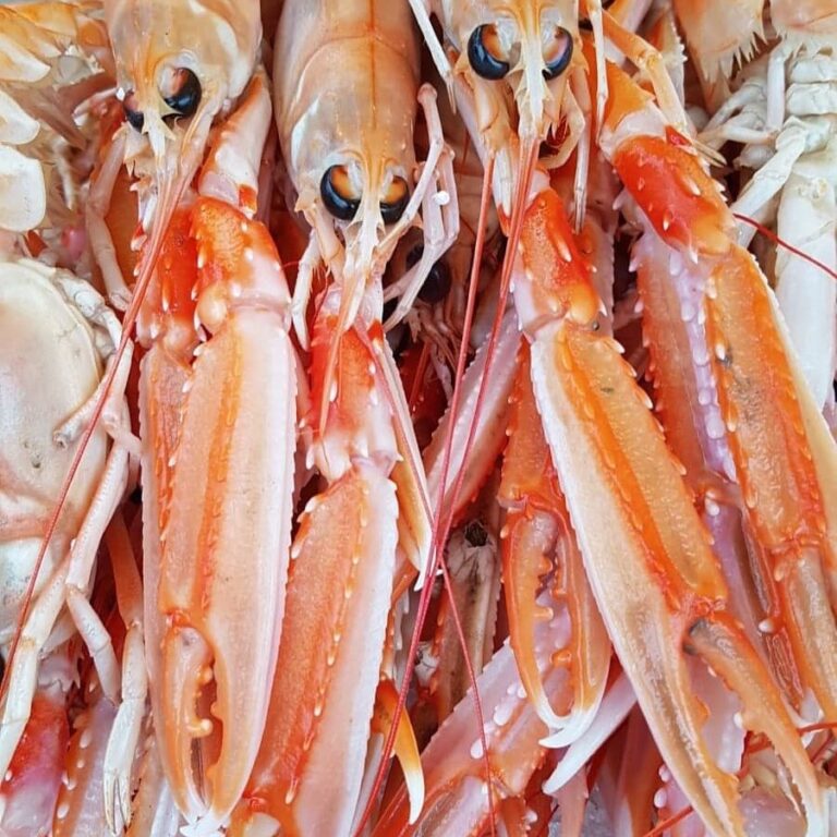 Buy Whole Langoustines Online | Delivery & Collection