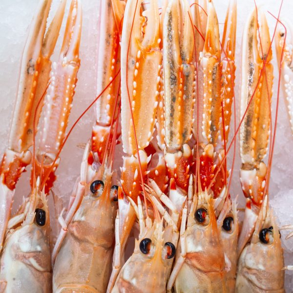 Smoked Mackerel - West Coast Sea Products Ltd - Wholesale Shellfish ...