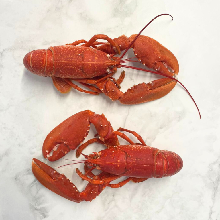 Buy Local Scottish Seafood Online | West Coast Sea Products