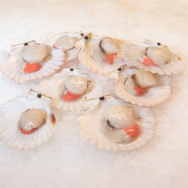 Winkles - West Coast Sea Products Ltd - Wholesale Shellfish Suppliers