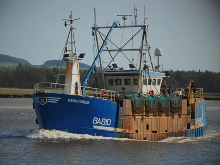 Shellfish & Scallops From Scotland | West Coast Sea Products