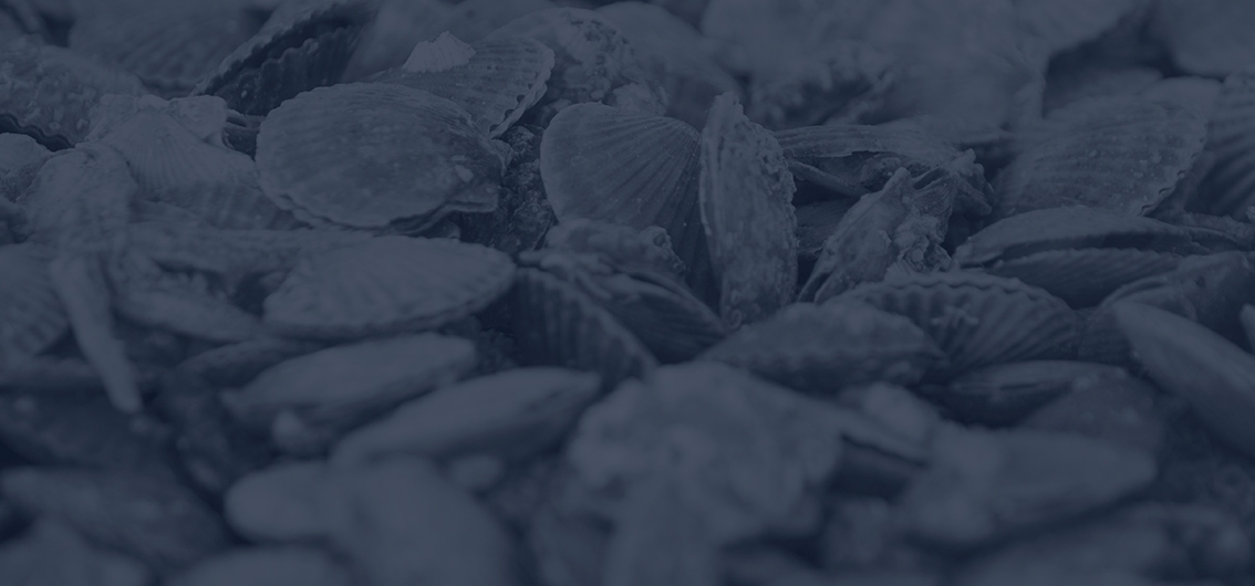 Gallery - West Coast Sea Products Ltd - Wholesale Shellfish Suppliers