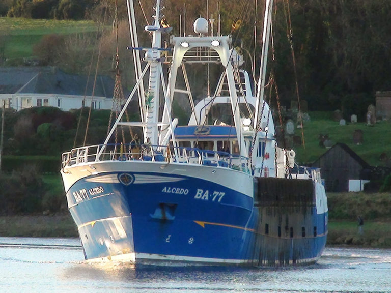 Shellfish & Scallops From Scotland | West Coast Sea Products