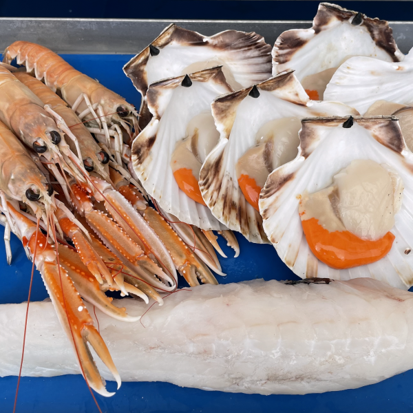 Buy Local Scottish Seafood Online | West Coast Sea Products