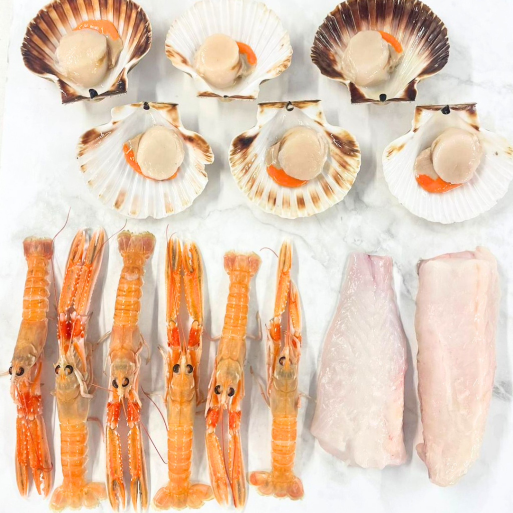 Winkles - West Coast Sea Products Ltd - Wholesale Shellfish Suppliers