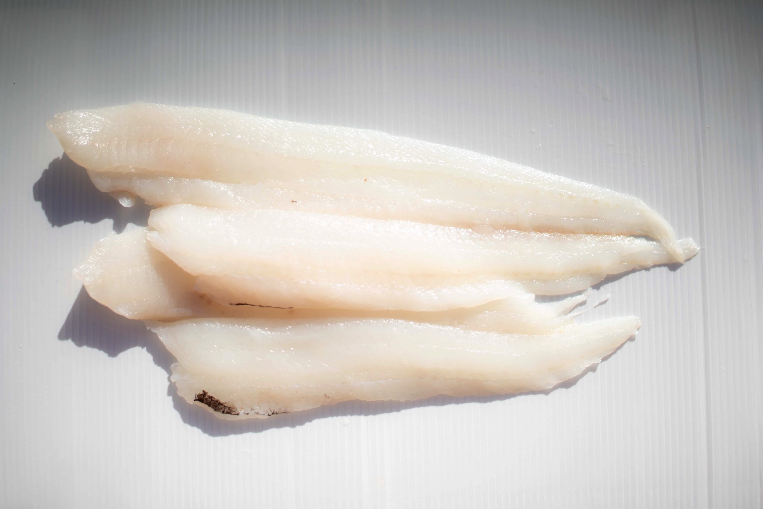 Grey Sole - West Coast Sea Products Ltd - Wholesale Shellfish Suppliers