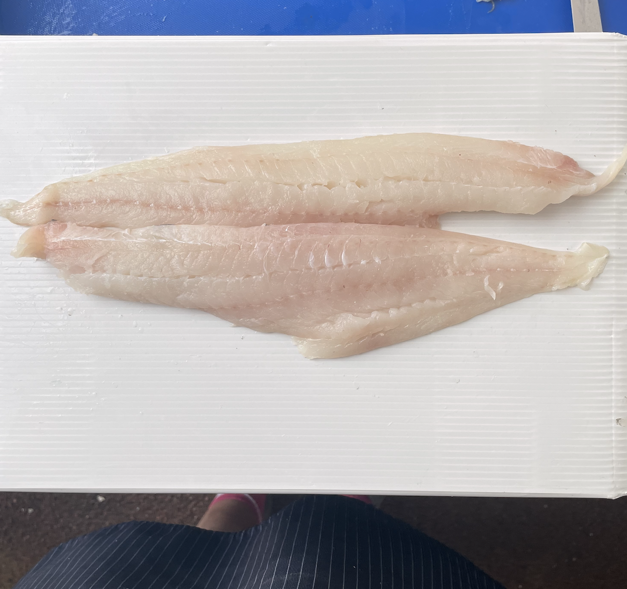 Whiting - West Coast Sea Products Ltd - Wholesale Shellfish Suppliers