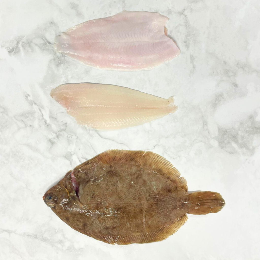 Winkles - West Coast Sea Products Ltd - Wholesale Shellfish Suppliers