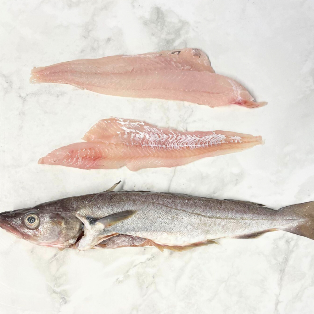 Winkles - West Coast Sea Products Ltd - Wholesale Shellfish Suppliers