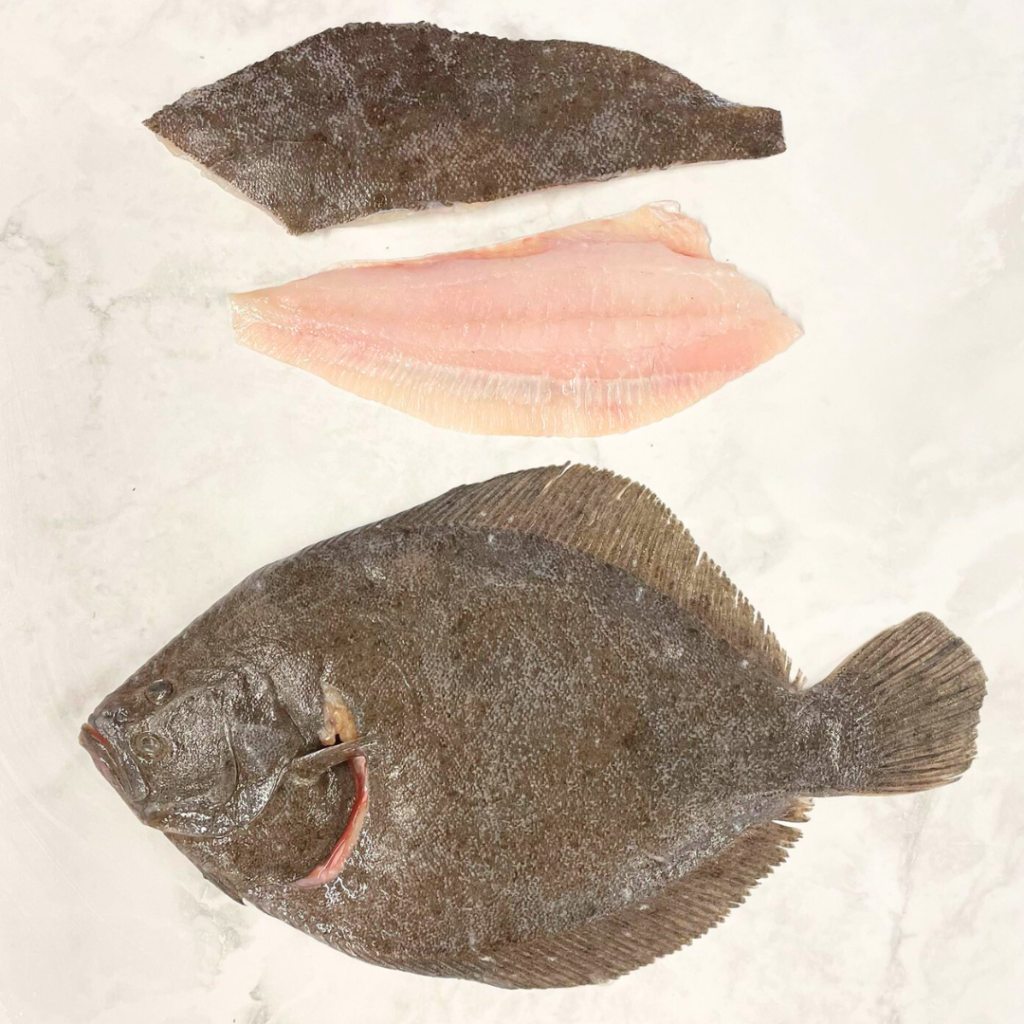 Buy Local Scottish Seafood Online | West Coast Sea Products