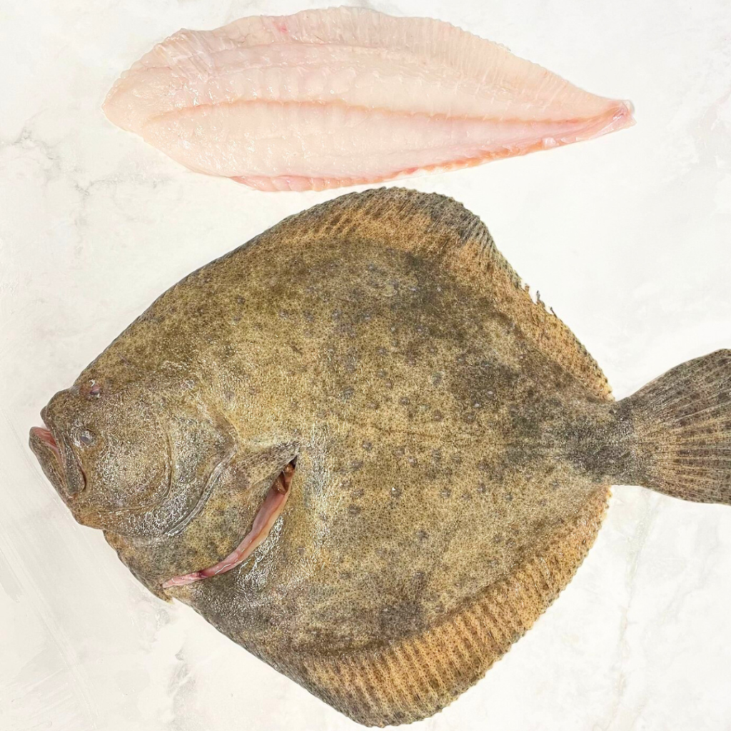 Roll Mop Herring - West Coast Sea Products Ltd - Wholesale Shellfish ...